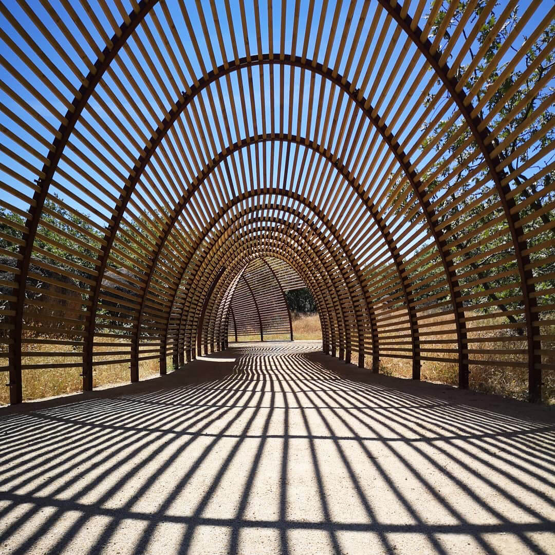 BARROCAL PARK - SomaDesign